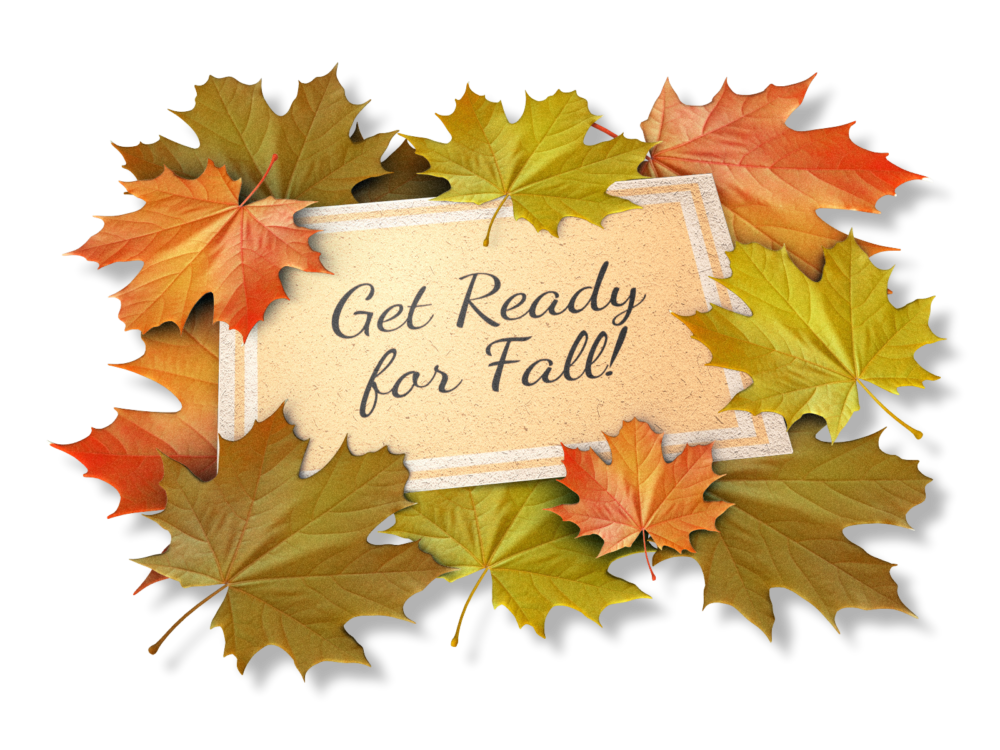 Blog | Fall is Here: What That Means for Your Health and How ...